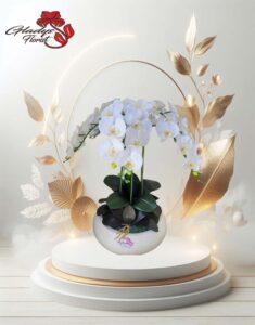 Bunga Rafflesia Arnoldii: Asal Usul Dunia Flora